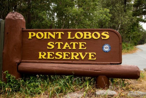 Point Lobos California State Park