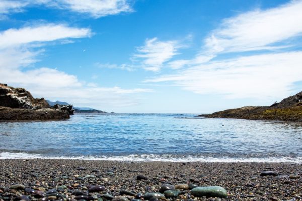 10 Reasons You Need to Visit Point Lobos State Reserve
