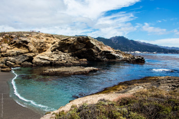 10 Reasons You Need to Visit Point Lobos State Reserve