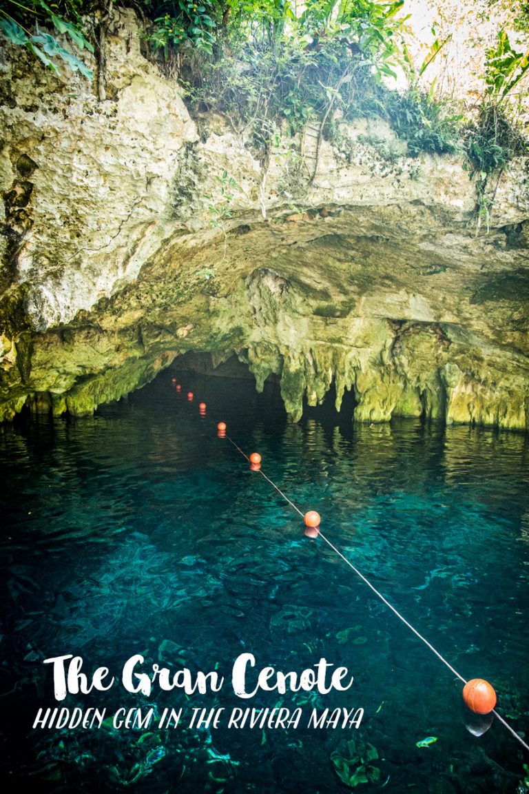 The Gran Cenote - A Hidden Gem in the Riviera Maya